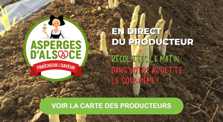 Asperges d'Alsace Le webzine de l'asperge d'Alsace